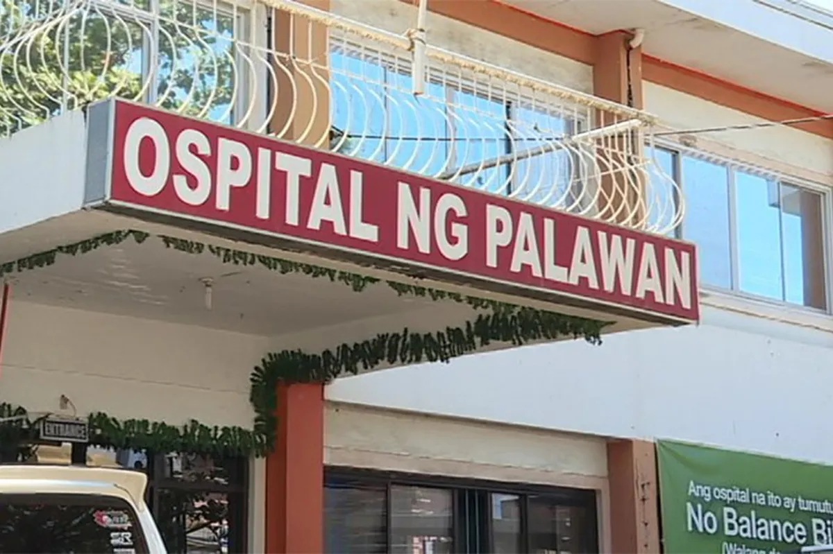 3 foreigners in Palawan negative for 2019-nCoV; Brazilian kid under ...