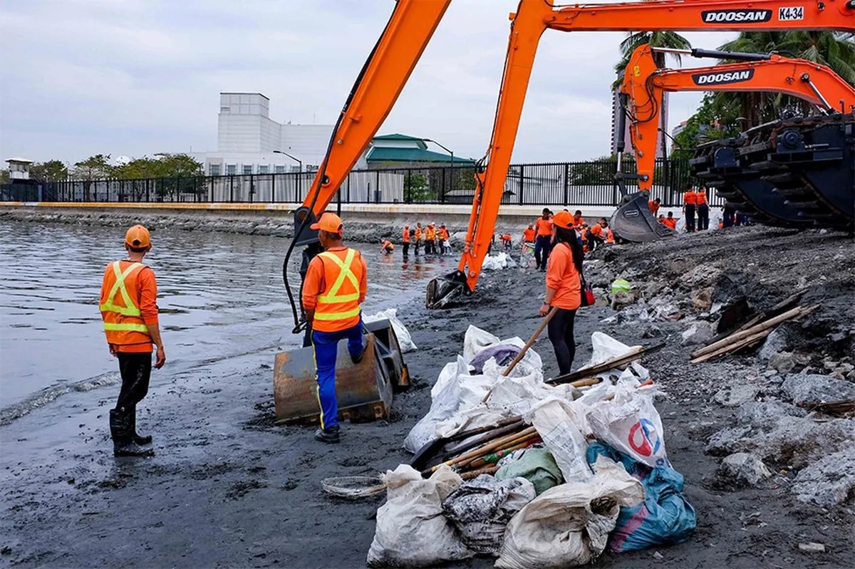 Manila Bay clean-up gives hope for return of larger fish species ...