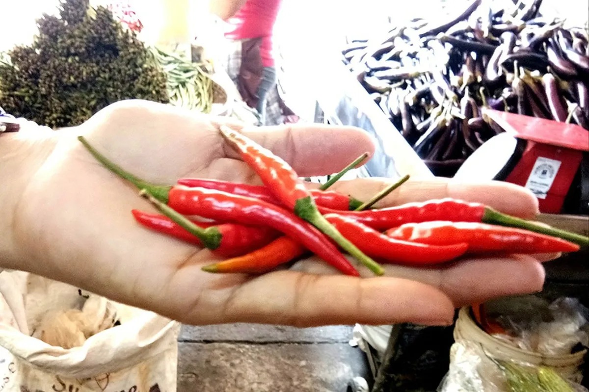 Dahil sa ulan at peste, presyo ng siling labuyo sa Albay P800/kilo na | ABS-CBN News