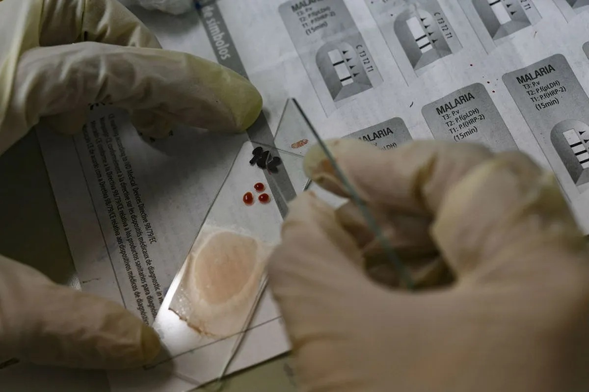 Experts challenge WHO with 'epic' goal to eradicate malaria by 2050 ...