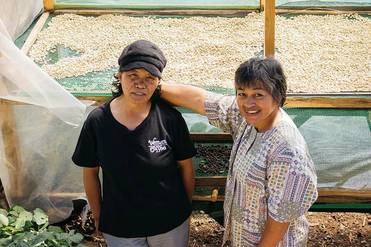 VIDEO: Sagada's backyard farms | ABS-CBN Lifestyle