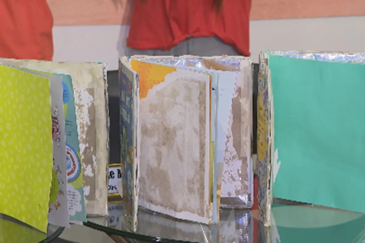 3 huli sa tangkang pagpuslit ng drogang sinilid sa children's books ... 3 huli sa tangkang pagpuslit ng drogang sinilid sa children's books ...