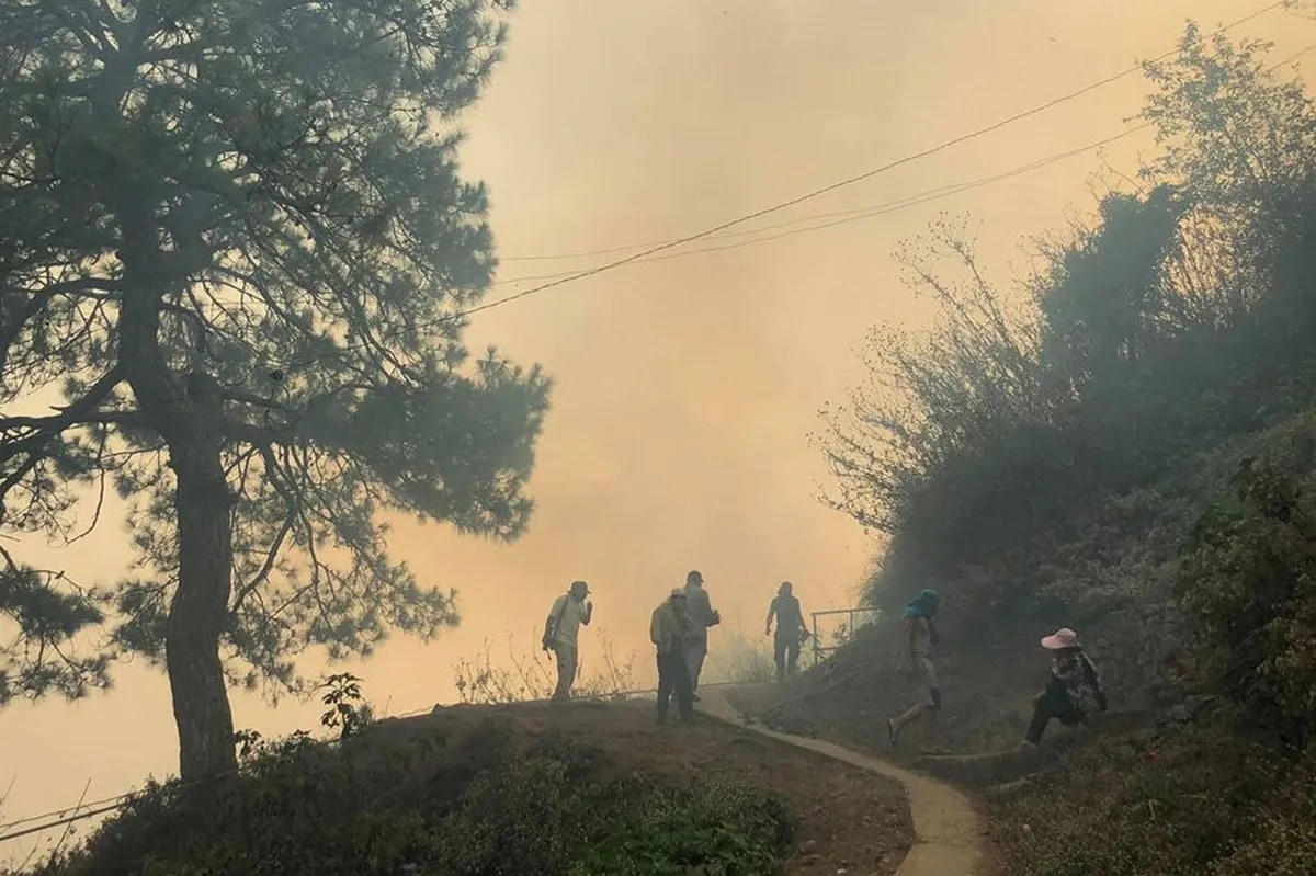 Forest fire sumiklab sa Benguet | ABS-CBN News Forest fire sumiklab sa Benguet | ABS-CBN News