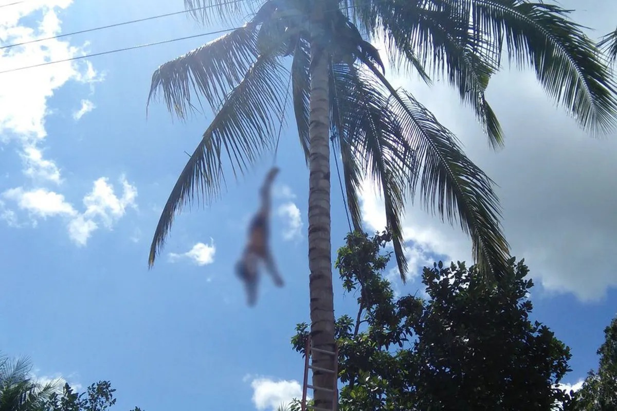 Lalaki patay nang makuryente sa taas ng puno sa South Cotabato | ABS-CBN News