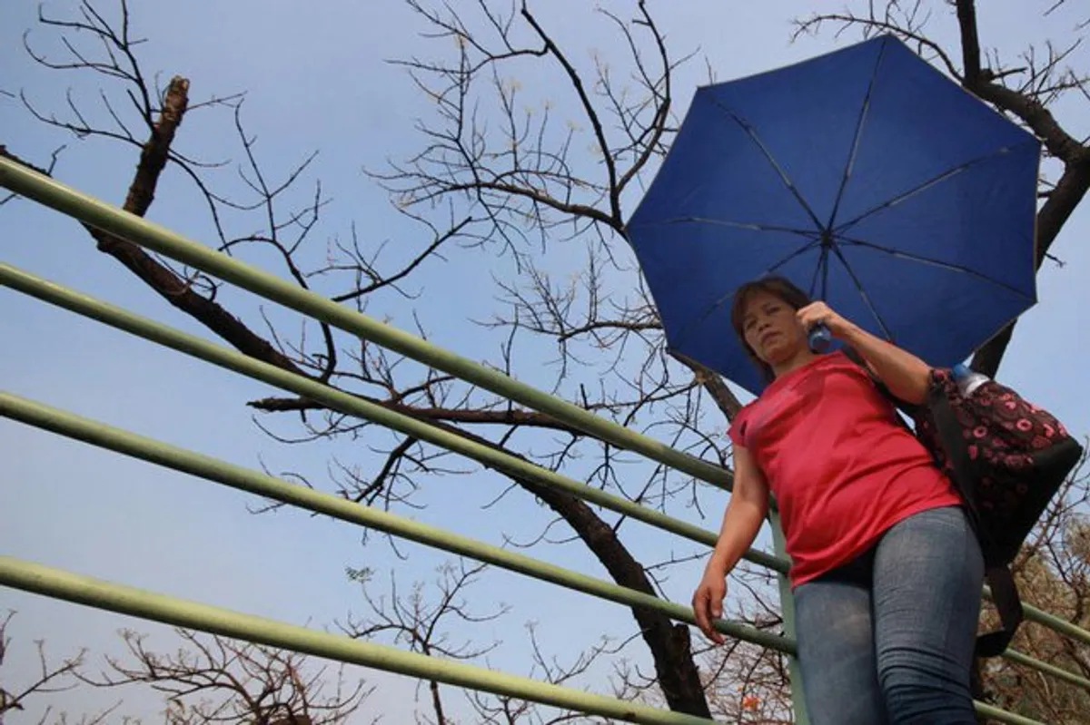 Babala ng DOH: Mga lamok 'mas nangangagat' tuwing tag-init | ABS-CBN News