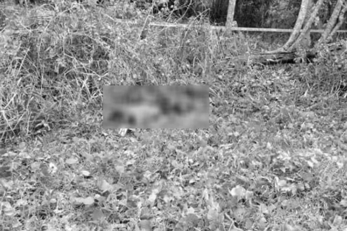 14 anyos dalagita natagpuang patay sa damuhan sa Aklan | ABS-CBN News