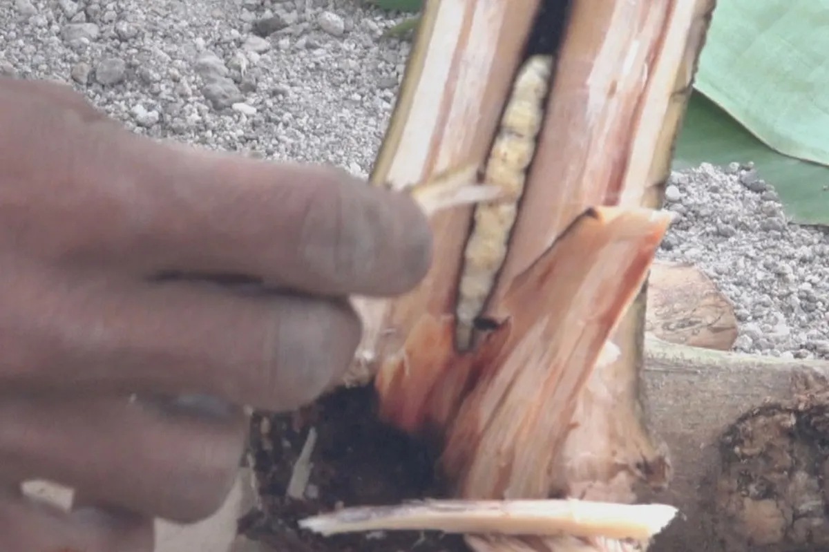 PANOORIN: Gretchen Ho pinatikim ng inihaw na uod | ABS-CBN Lifestyle