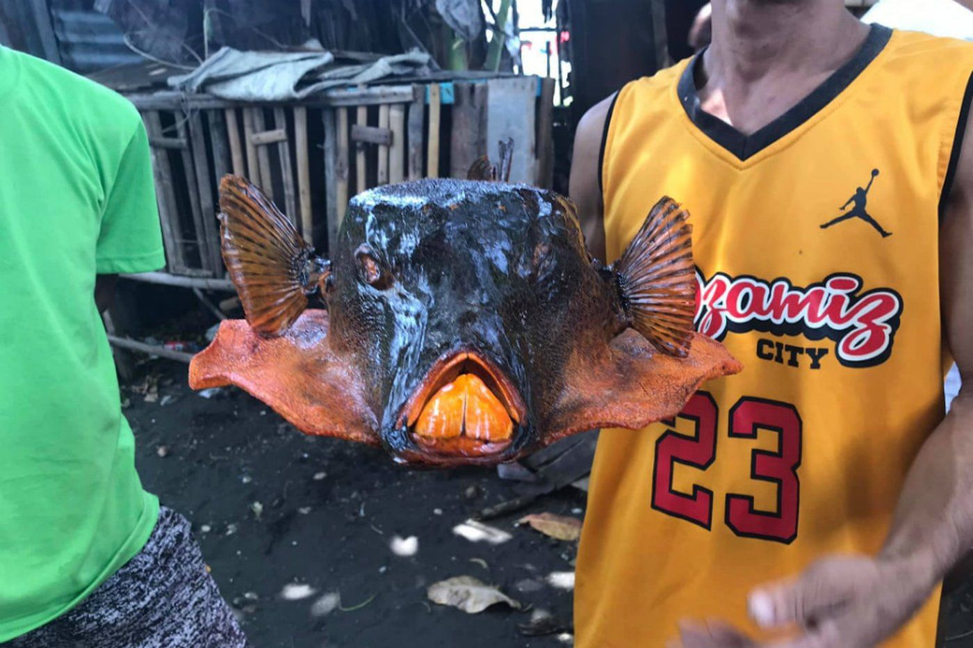 17 nalason sa pagkain ng 'butete' sa Ozamiz | ABS-CBN News