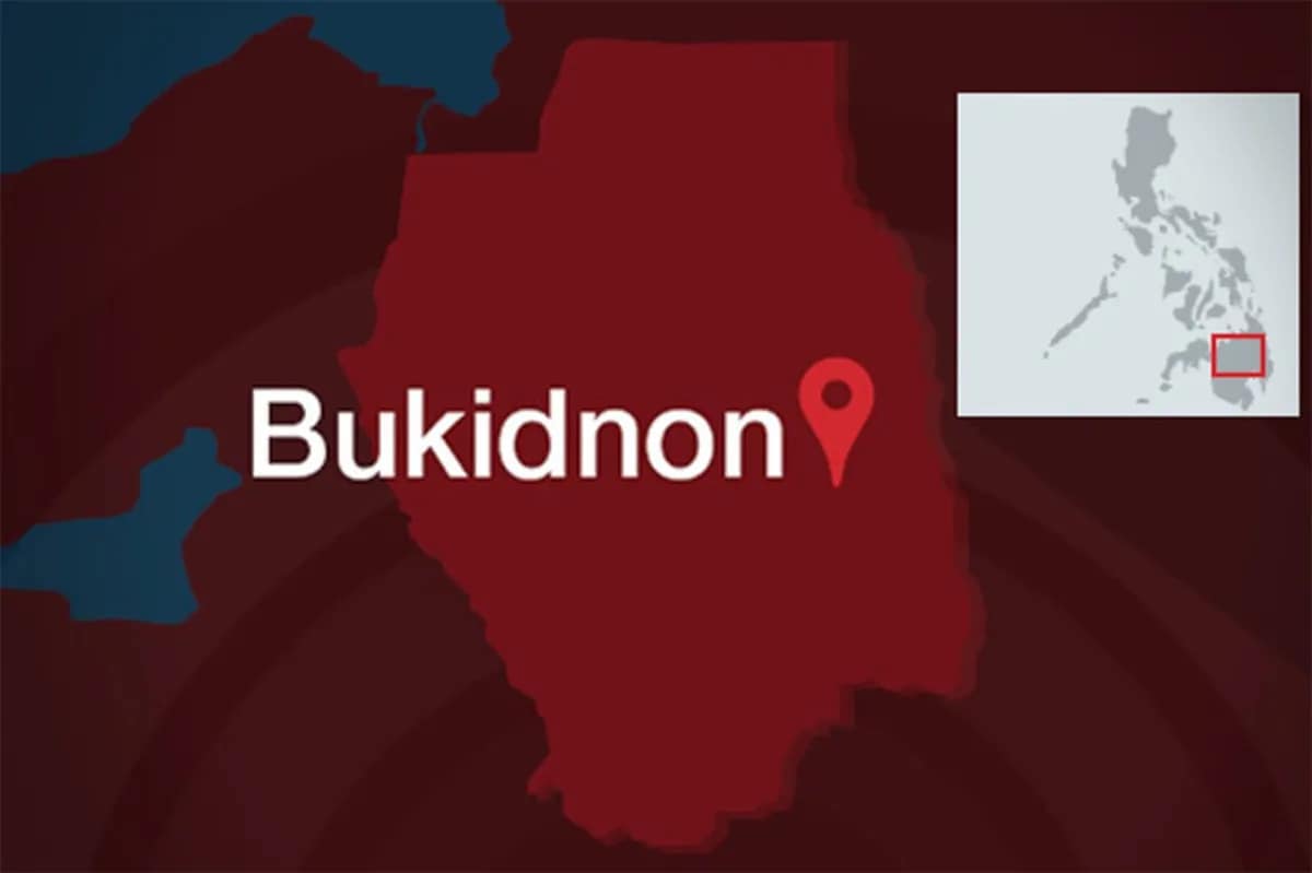 Bahagi ng bundok sa Bukidnon gumuho | ABS-CBN News Bahagi ng bundok sa Bukidnon gumuho | ABS-CBN News