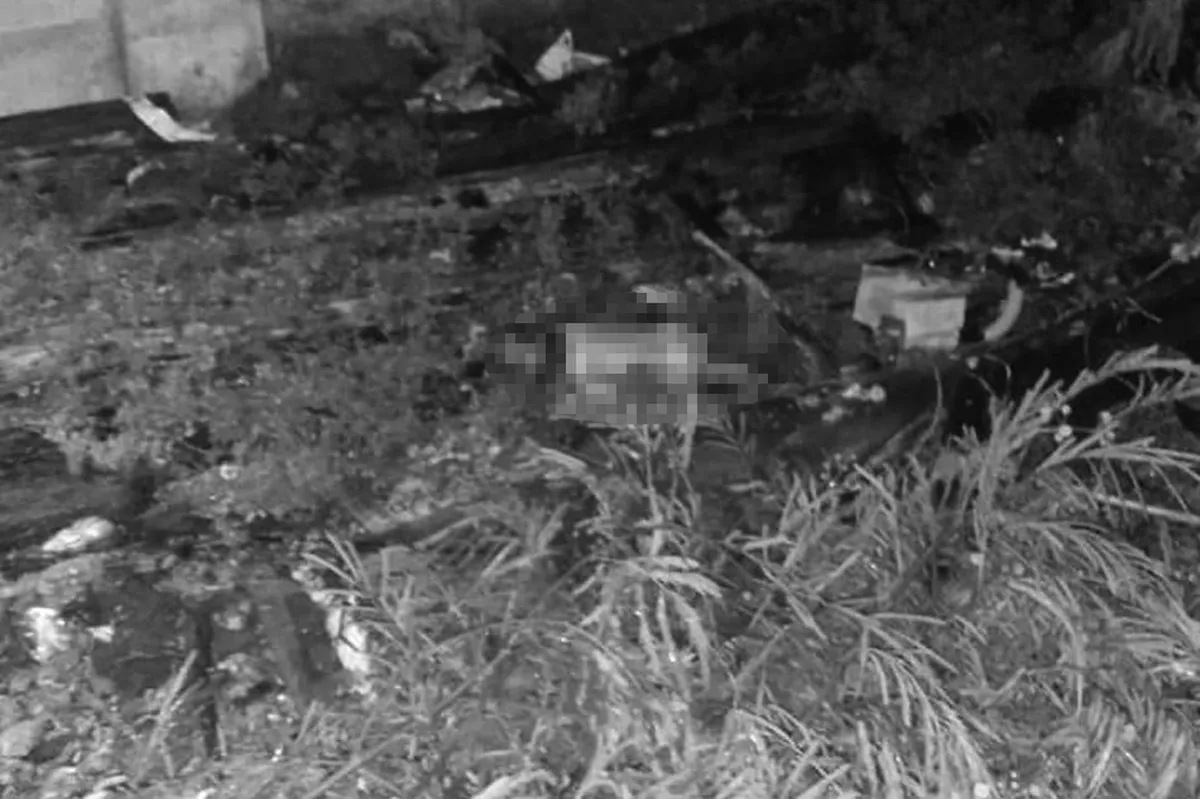 Sanggol na iniwan sa damuhan, nasagip | ABS-CBN News