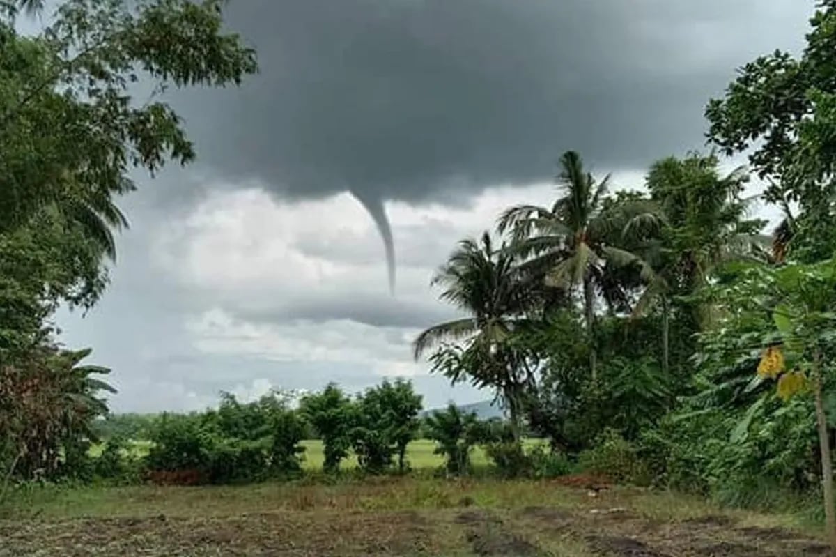 TINGNAN: Buhawi namataan sa palayan sa Camarines Sur | ABS-CBN News TINGNAN: Buhawi namataan sa palayan sa Camarines Sur | ABS-CBN News