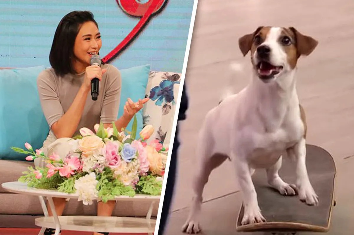 WATCH: Milo, Sarah G’s furry co-star in new movie, shows off tricks ...