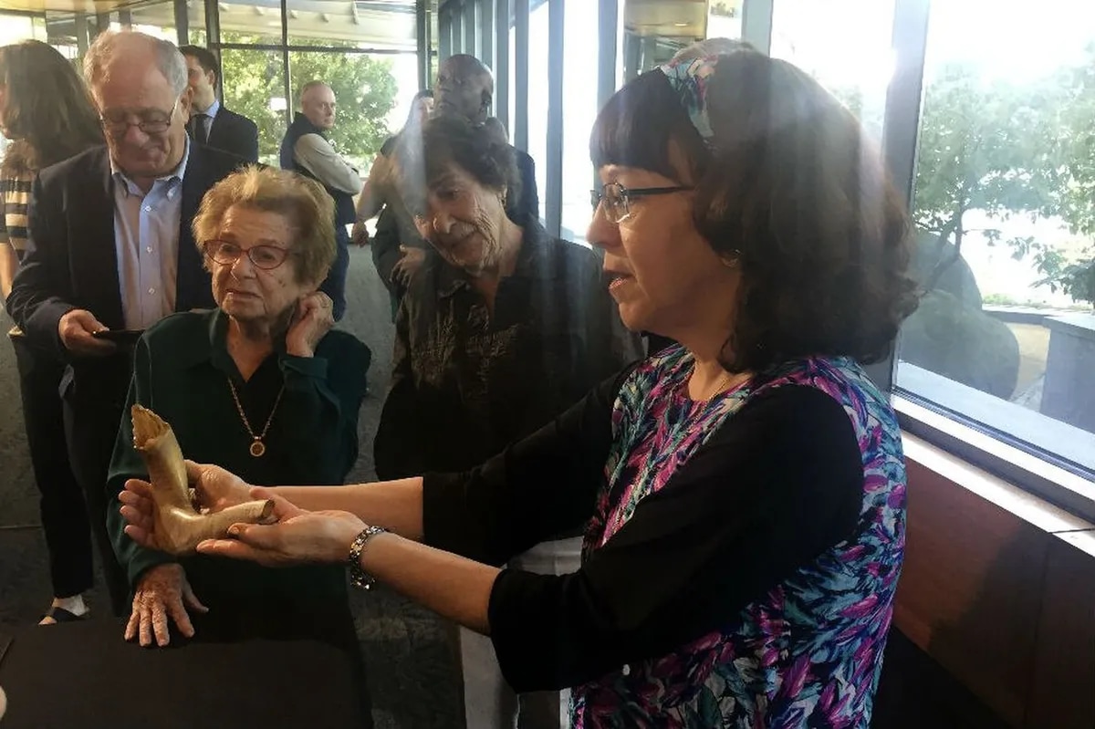 Traditional Jewish instrument that survived Auschwitz shown in New York ...