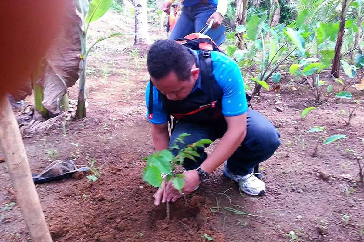 Plant before diploma: House OKs bill requiring tree planting before ...