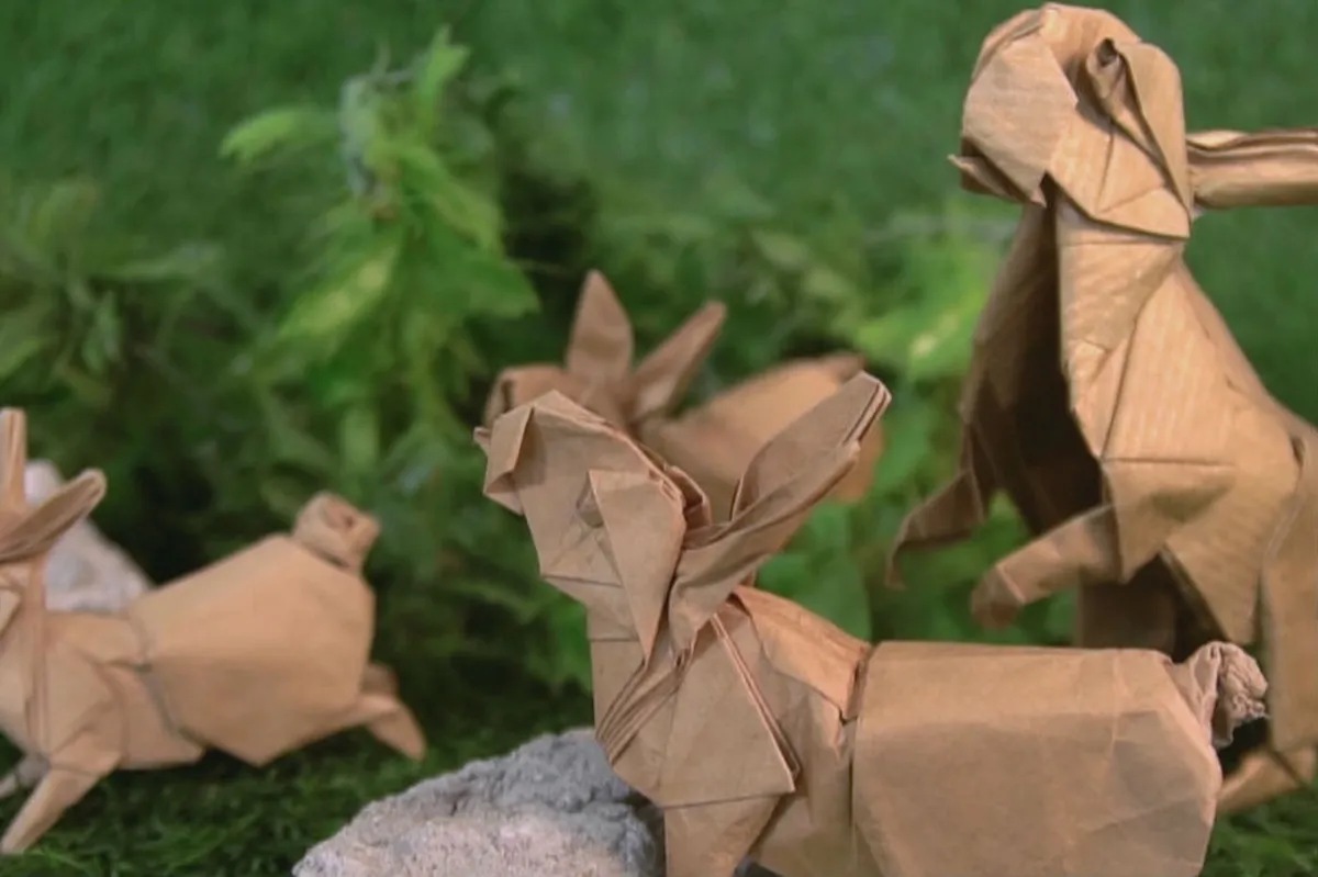 Endangered animals tampok sa mga likha ng Pinoy origami artist | ABS ...