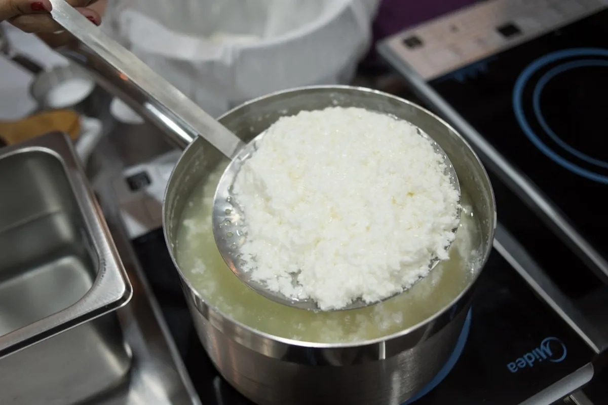 Armpit bacteria cheese, 'talking plant' on show at London food ...
