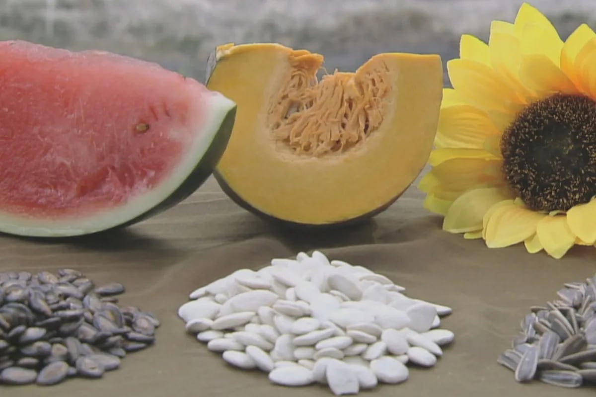 ALAMIN: Mga sustansiyang taglay ng buto ng pakwan, kalabasa, sunflower ... ALAMIN: Mga sustansiyang taglay ng buto ng pakwan, kalabasa, sunflower ...
