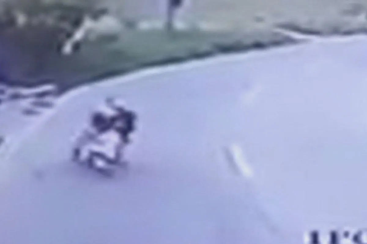 SAPUL SA CCTV: Lalaki nakaladkad ng riding-in-tandem na snatchers | ABS ... SAPUL SA CCTV: Lalaki nakaladkad ng riding-in-tandem na snatchers | ABS ...