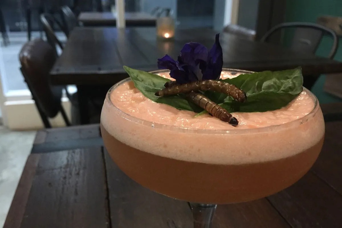 Night out: Would you like a worm in your cocktail? | ABS-CBN Lifestyle