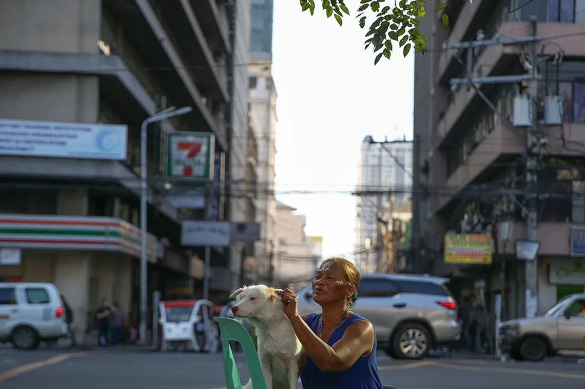 LTFRB signs measure allowing pets inside public utility vehicles | ABS ...