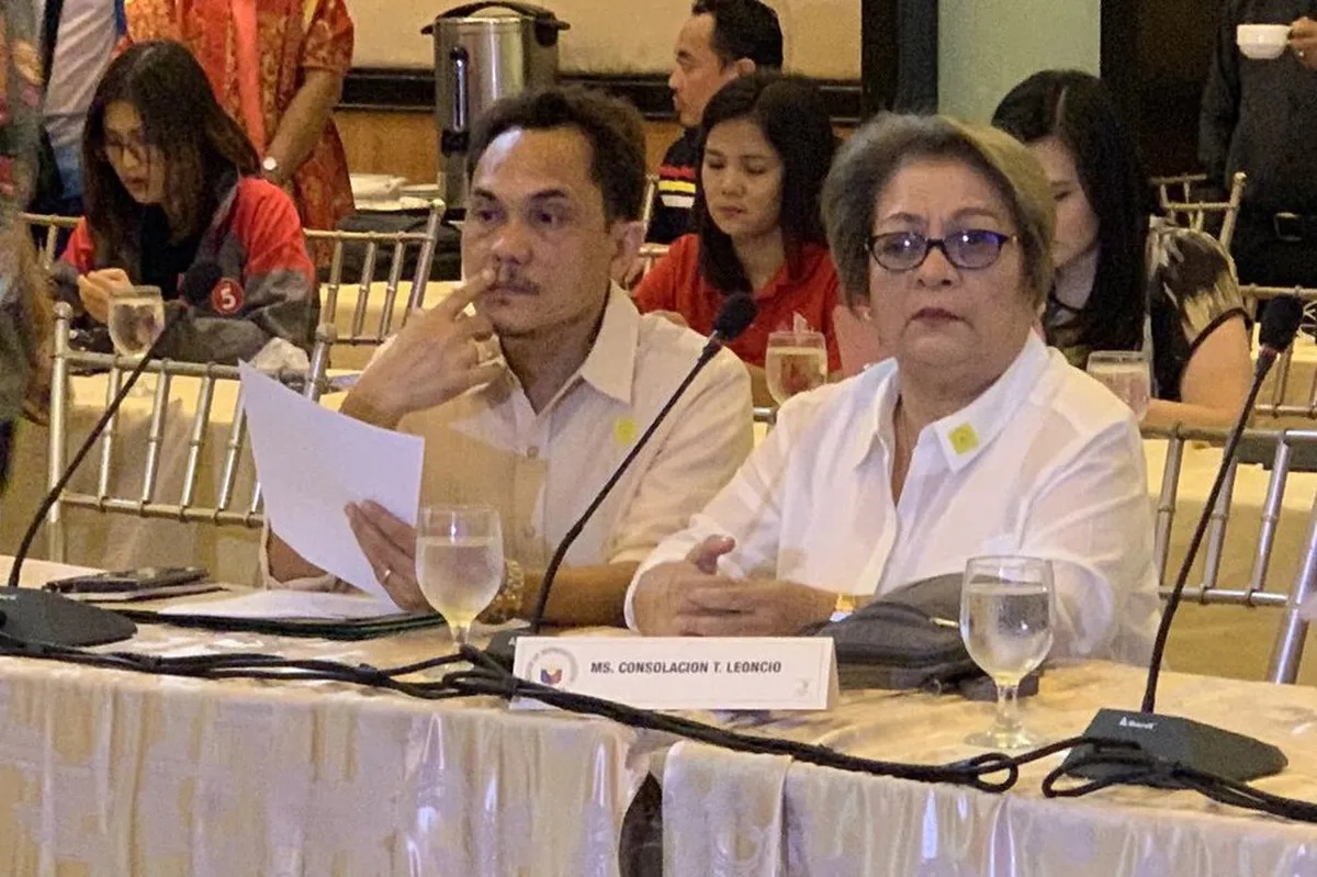 House begins probe on alleged 2019 budget insertions | ABS-CBN News