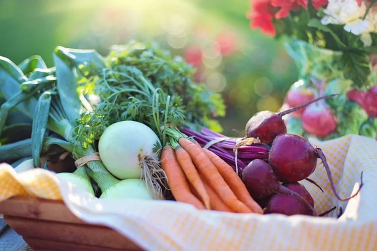 The word from Turin: slow food is the movement the world needs | ABS ...