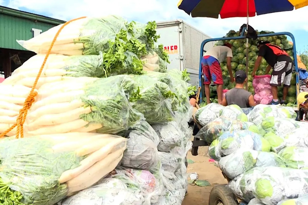 'Oversupply, bagsak-presyo ng gulay mula Benguet naiwasan sana' | ABS-CBN News