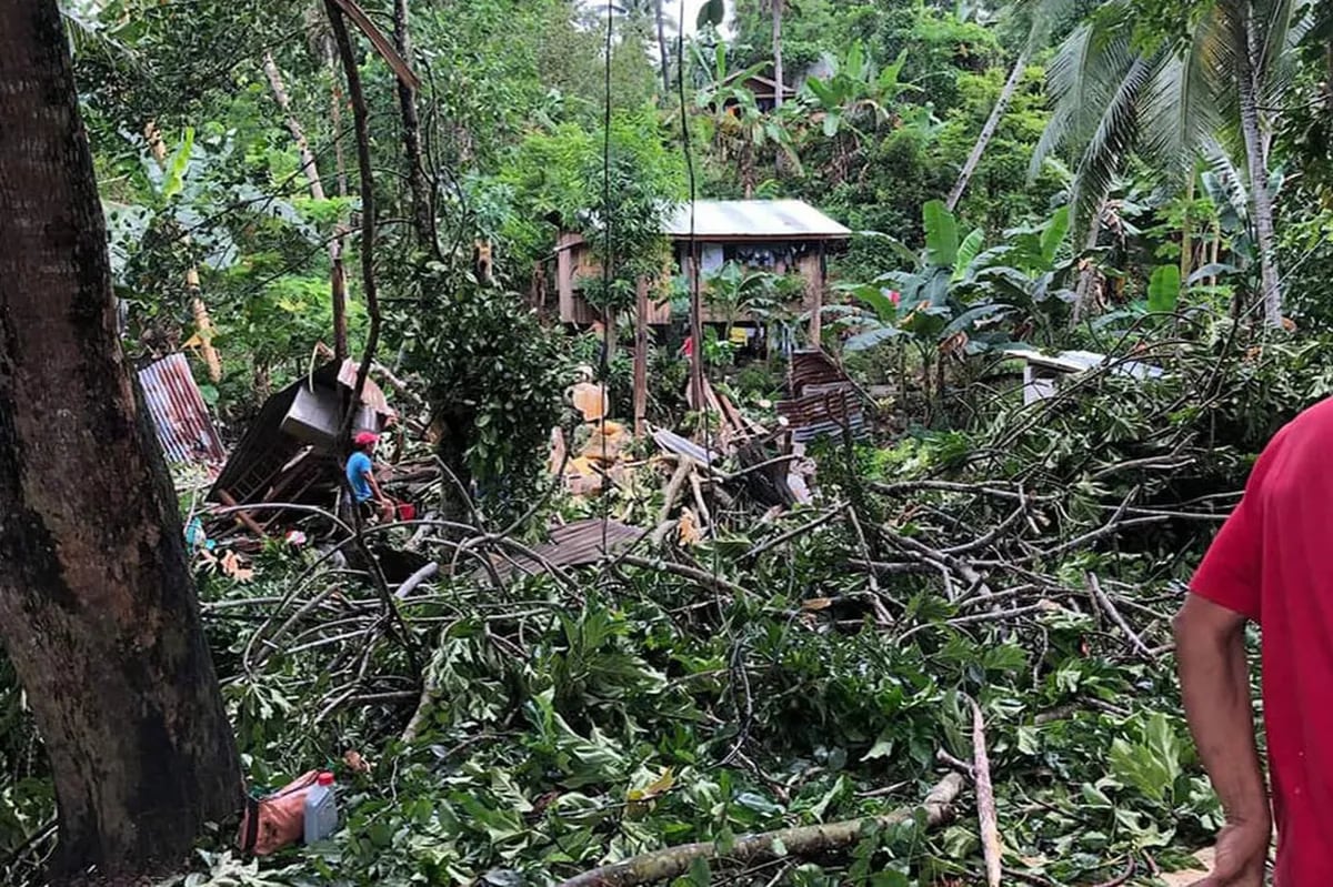 TINGNAN: Bahay nabagsakan ng puno sa Zamboanga | ABS-CBN News TINGNAN: Bahay nabagsakan ng puno sa Zamboanga | ABS-CBN News
