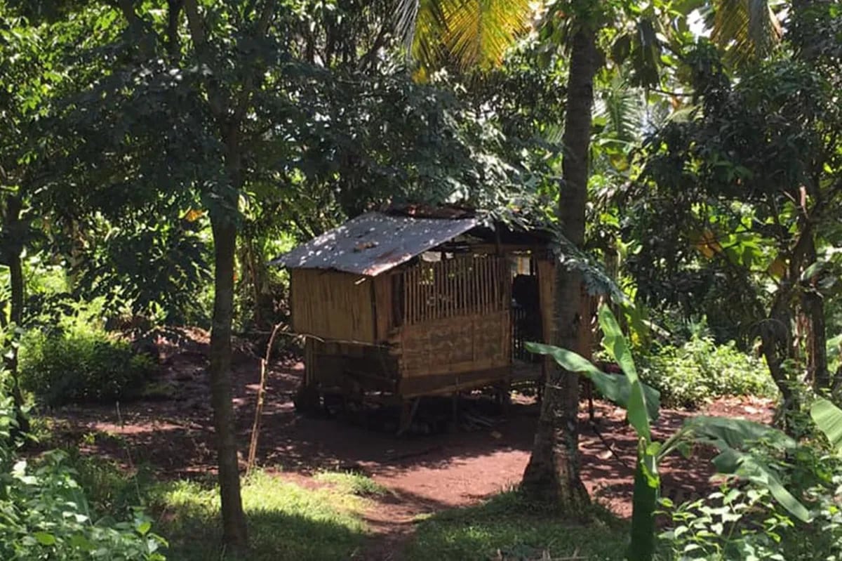 4 patay, 4 sugatan nang tamaan ng kidlat sa Misamis Oriental | ABS-CBN News