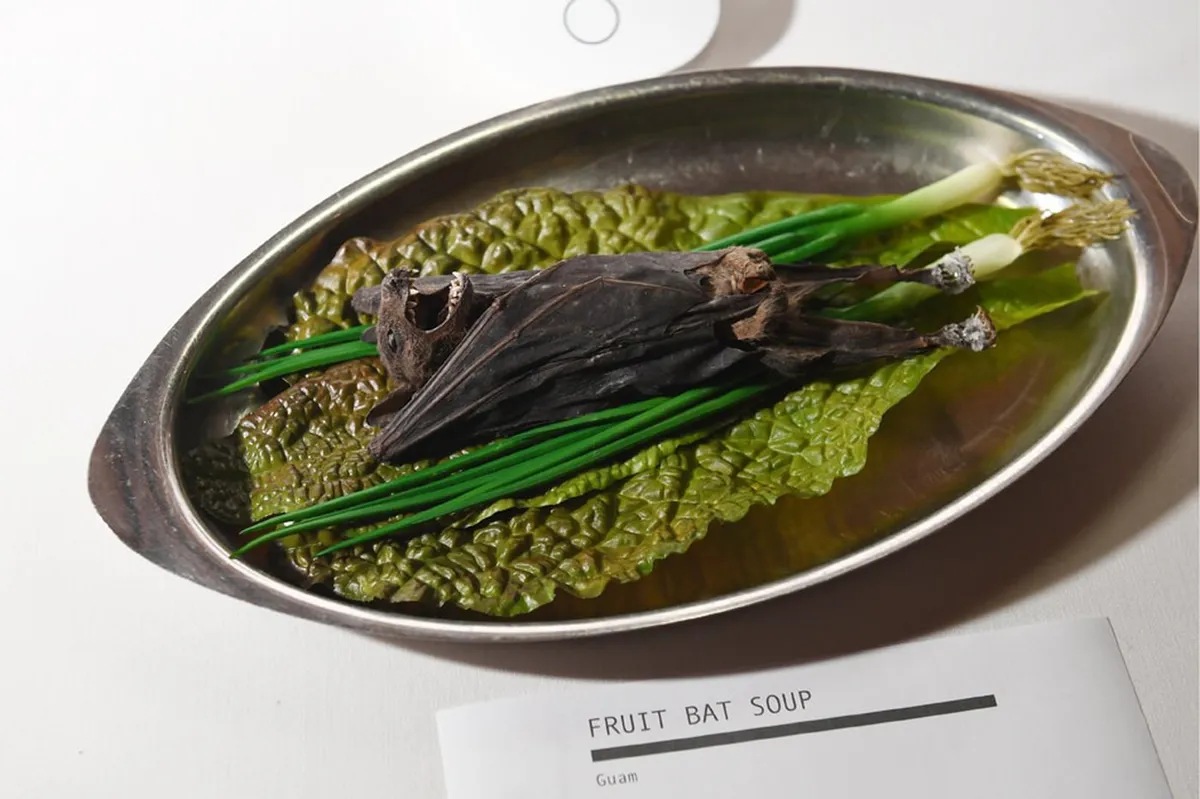 Fruit bat soup, mouse wine: Disgusting Food museum opens in LA | ABS ...