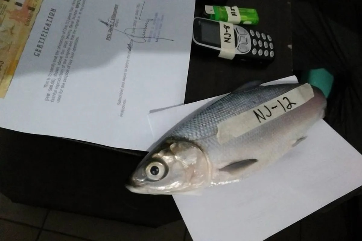 'Shabu’ isinilid sa bangus sa Iloilo; tindera timbog | ABS-CBN News