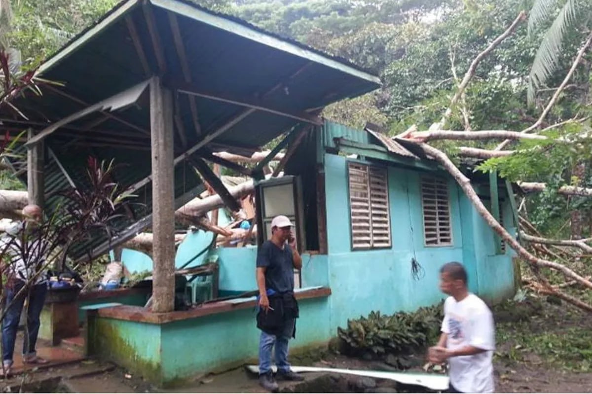 Bahay, nabagsakan ng puno; 5 sugatan | ABS-CBN News Bahay, nabagsakan ng puno; 5 sugatan | ABS-CBN News