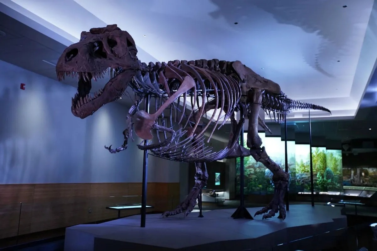 Sue, the world-famous T. rex, gets a new lair in Chicago | ABS-CBN