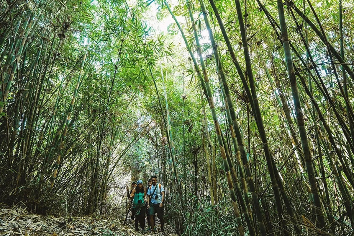 Make a difference when you hike through this forest trail in Subic ...