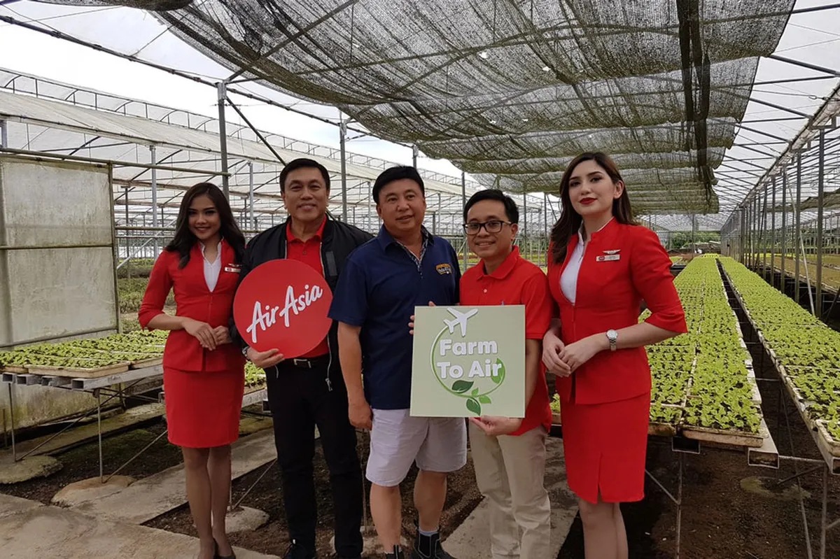 'Farm to air': AirAsia sources vegetables from Silang for inflight ...