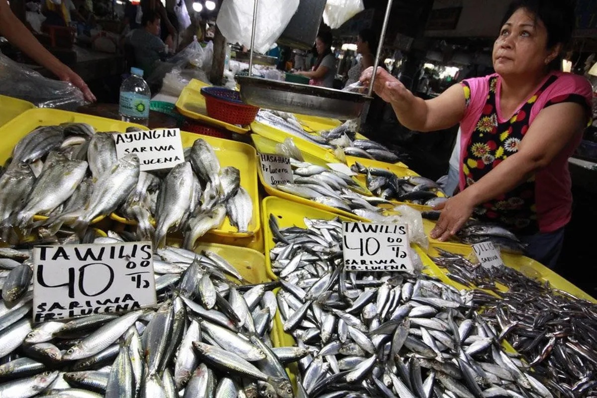 Isdang tawilis, endangered species na | ABS-CBN News