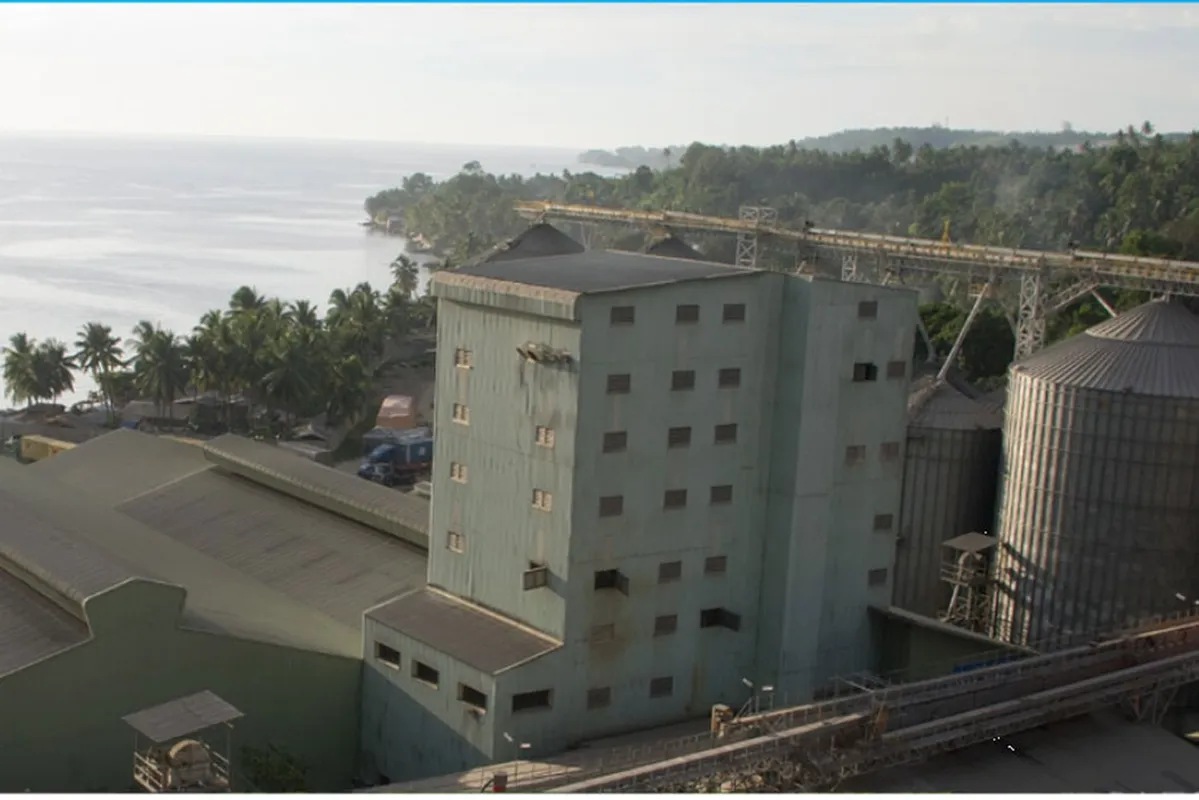 Aboitiz food unit buys majority stake in Singapore's Gold Coin | ABS ...