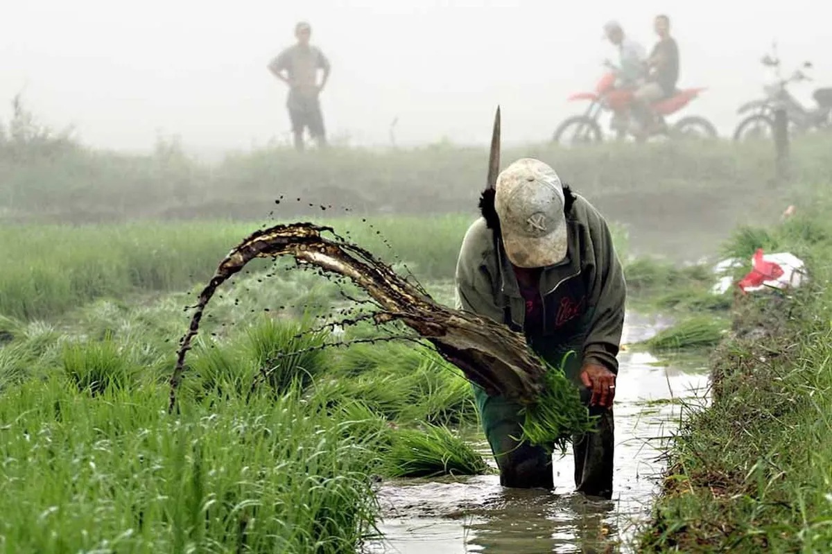 DAR nag-alok ng tulong legal para sa mga magsasaka | ABS-CBN News