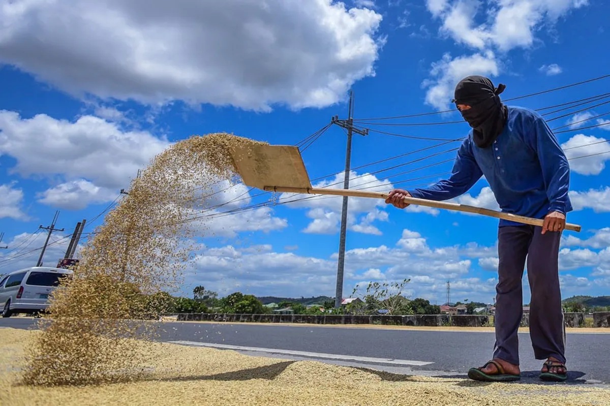 Japanese firm launches ready-to-eat 'emergency rice' in PH | ABS-CBN News