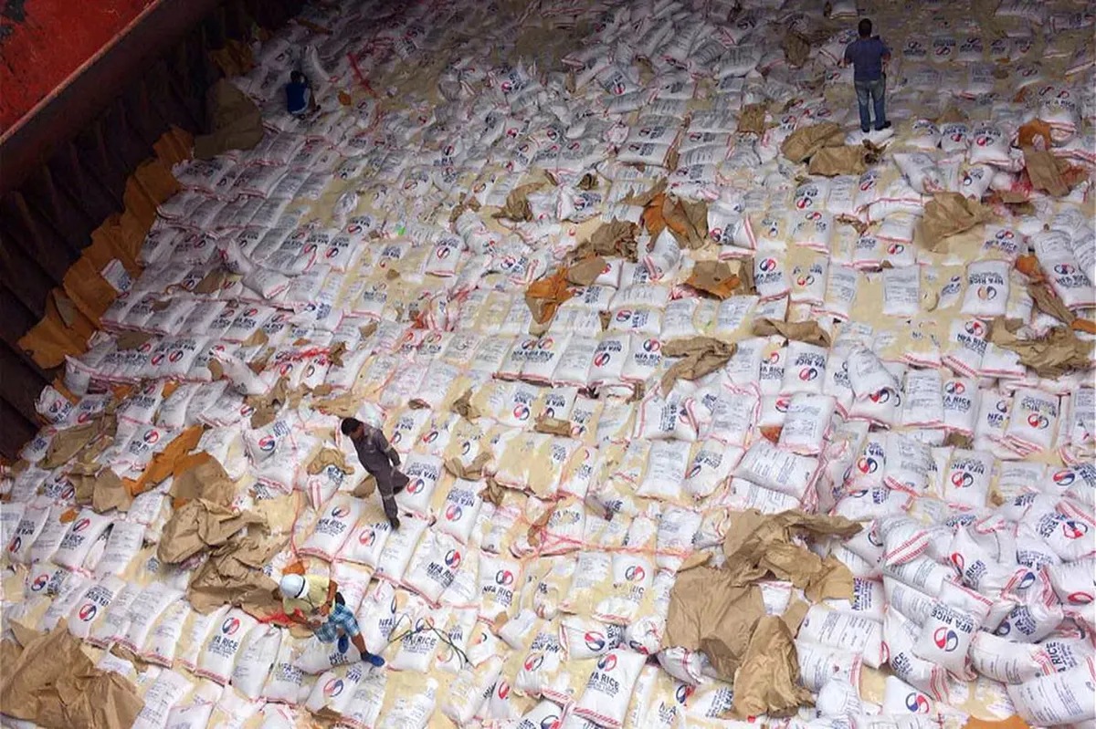 Matagal na pagkaimbak sa bigas, sanhi ng bukbok | ABS-CBN News