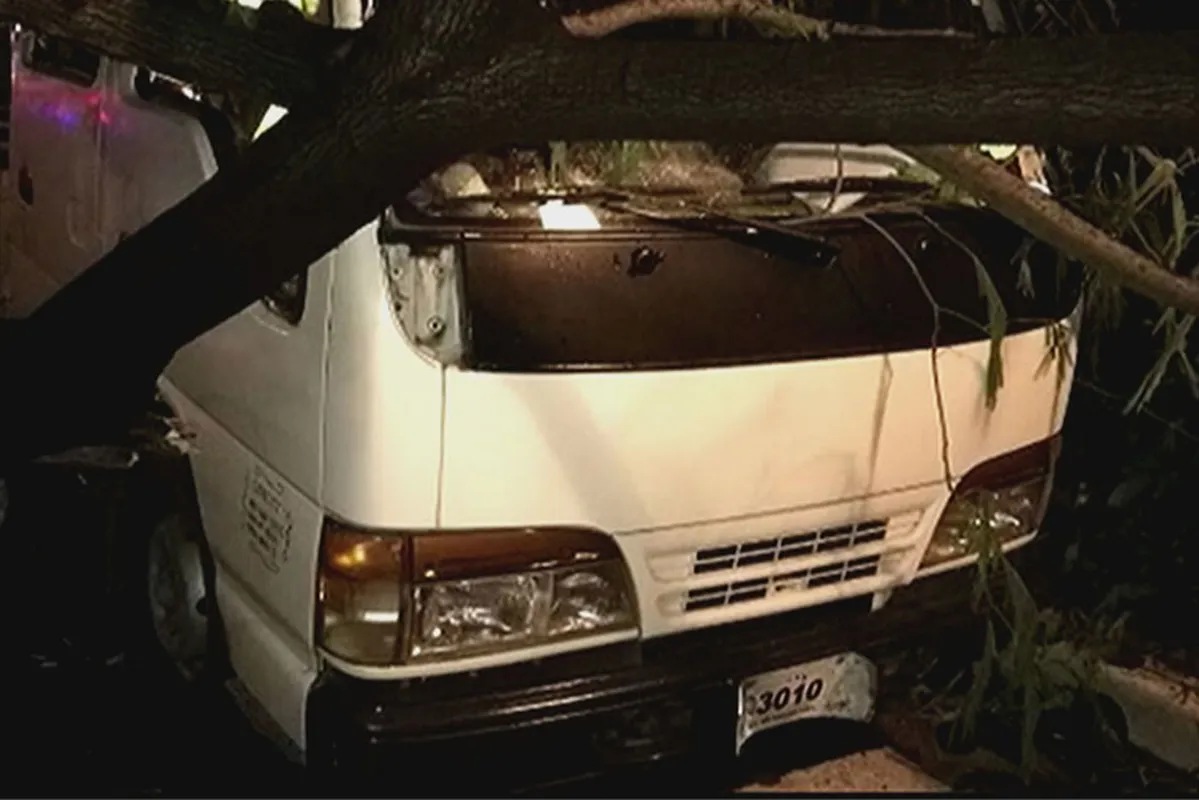 3 sasakyan nadaganan ng puno sa Makati | ABS-CBN News