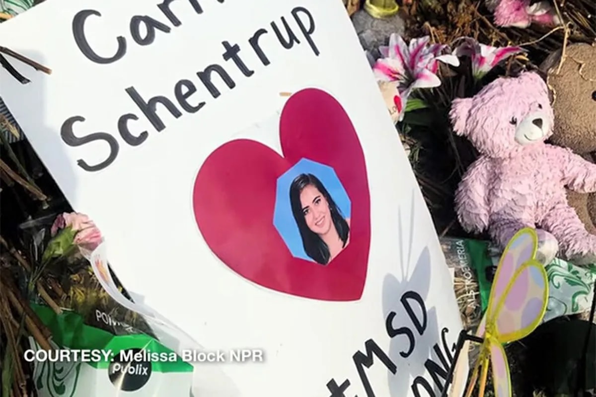 Brother of Fil-Am victim in Parkland, Florida school shooting speaks up ...