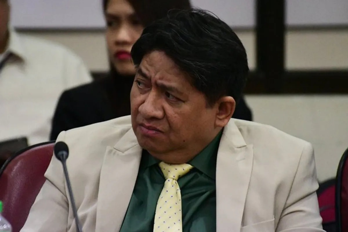 Gadon threatens disbarment case vs pro-Sereno IBP execs | ABS-CBN News