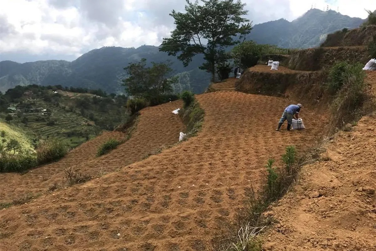 Mga magsasaka sa Benguet, nalulugi na dahil sa taas-presyo ng pataba ... Mga magsasaka sa Benguet, nalulugi na dahil sa taas-presyo ng pataba ...