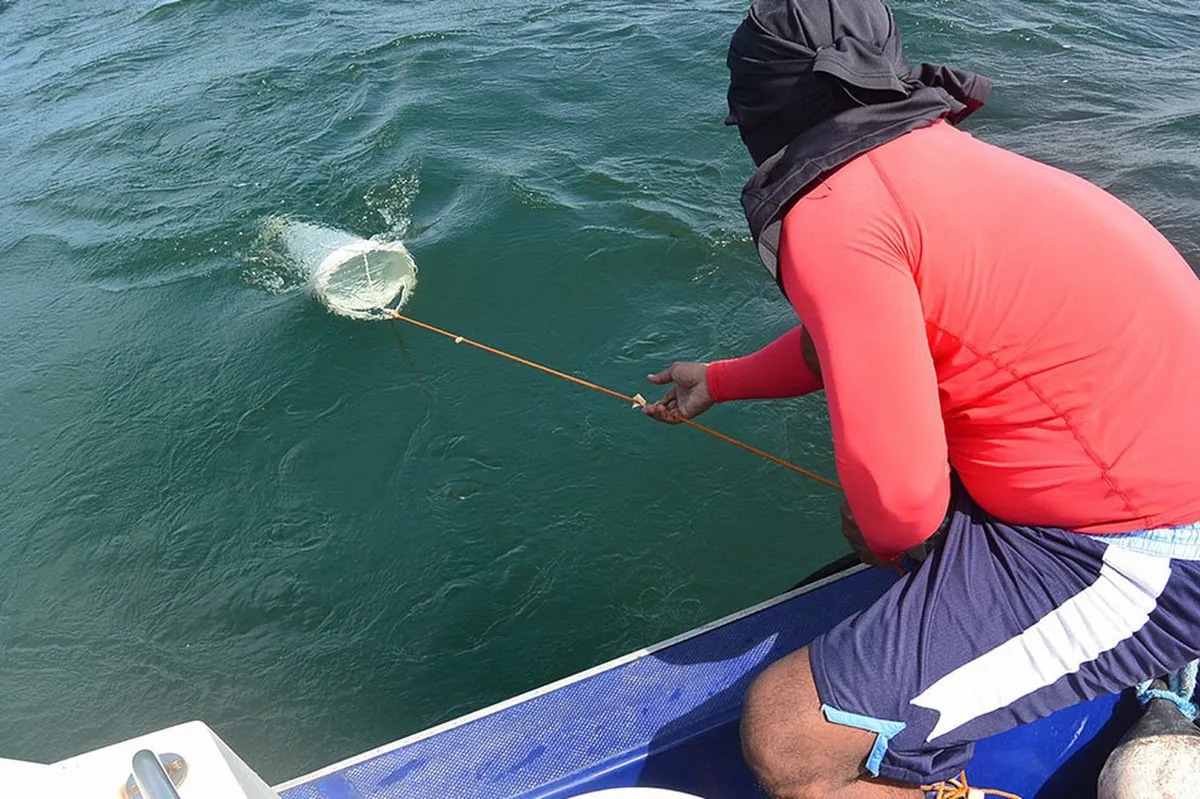 BFAR lifts shellfish ban in Bataan | ABS-CBN News