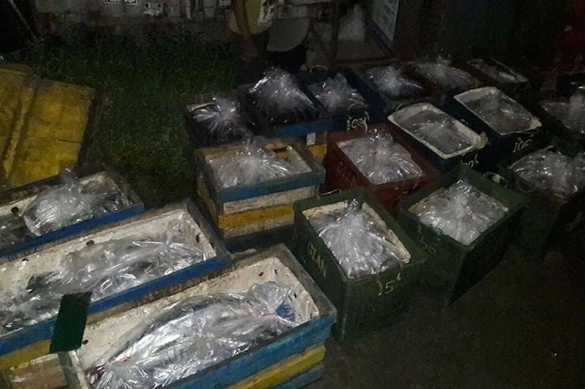 2 lalaki tiklo sa pagbebenta ng isdang huli sa blast fishing | ABS-CBN News