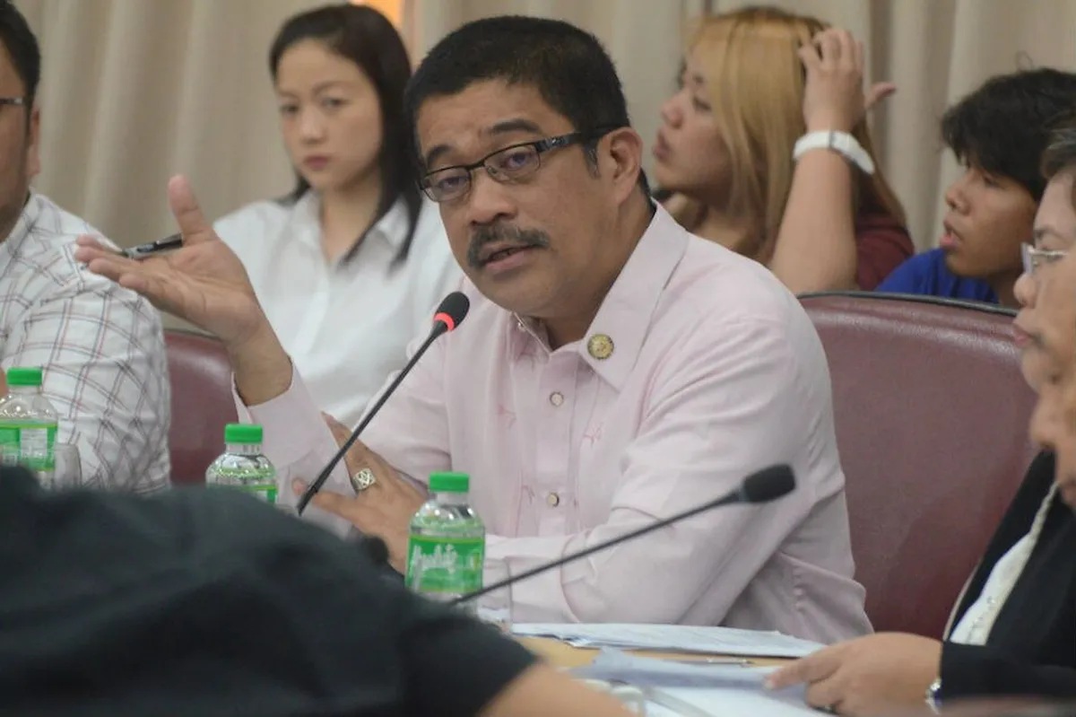 Palace remark makes rights advocates targets in drug war, says solon ...