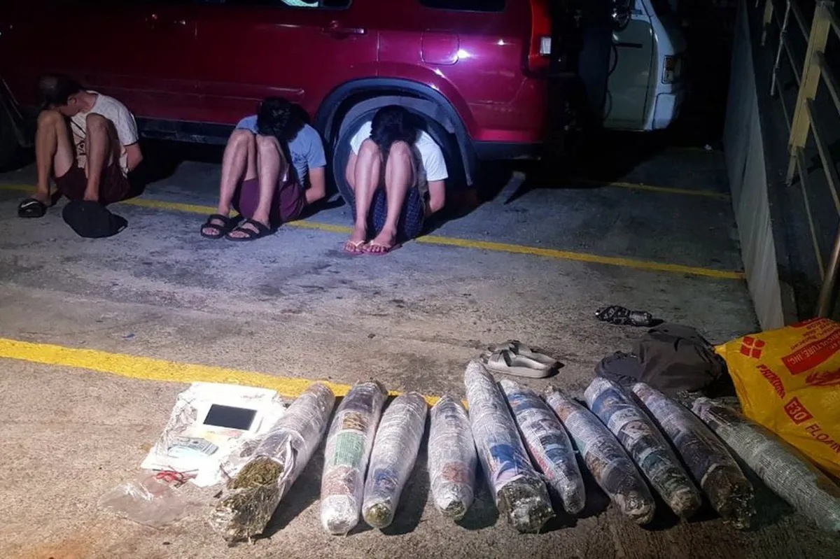 5 tiklo sa kilo-kilong marijuana sa Quezon City | ABS-CBN News