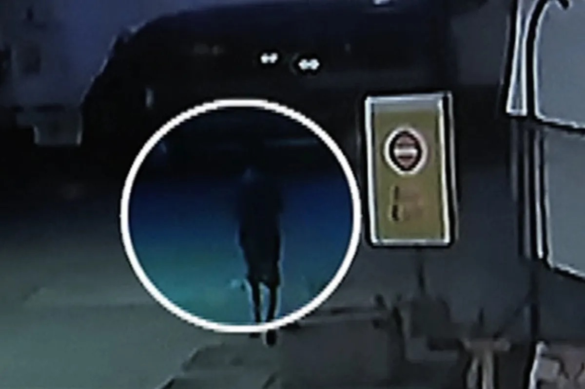 SAPUL SA CCTV: 9 anyos, nagnakaw ng abuloy | ABS-CBN News