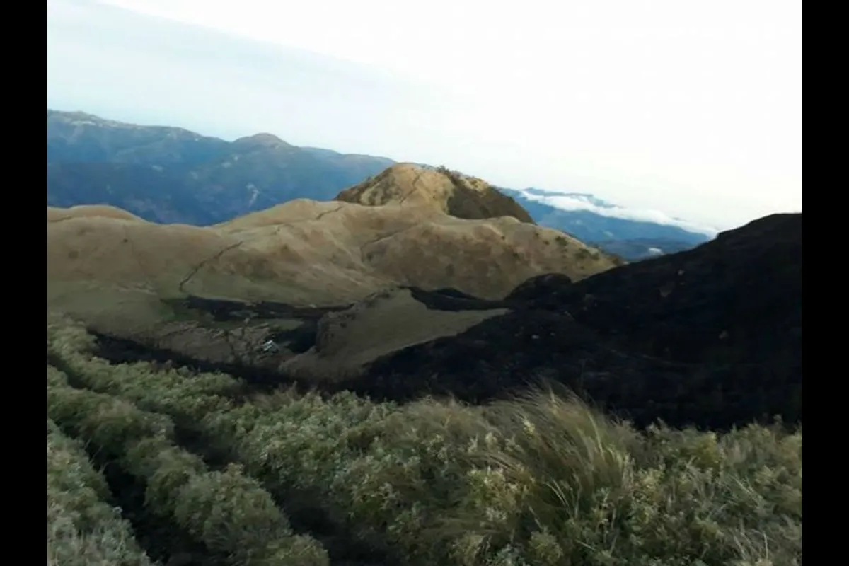 DENR to sue 7 hikers from Cebu over Mt. Pulag blaze | ABS-CBN News